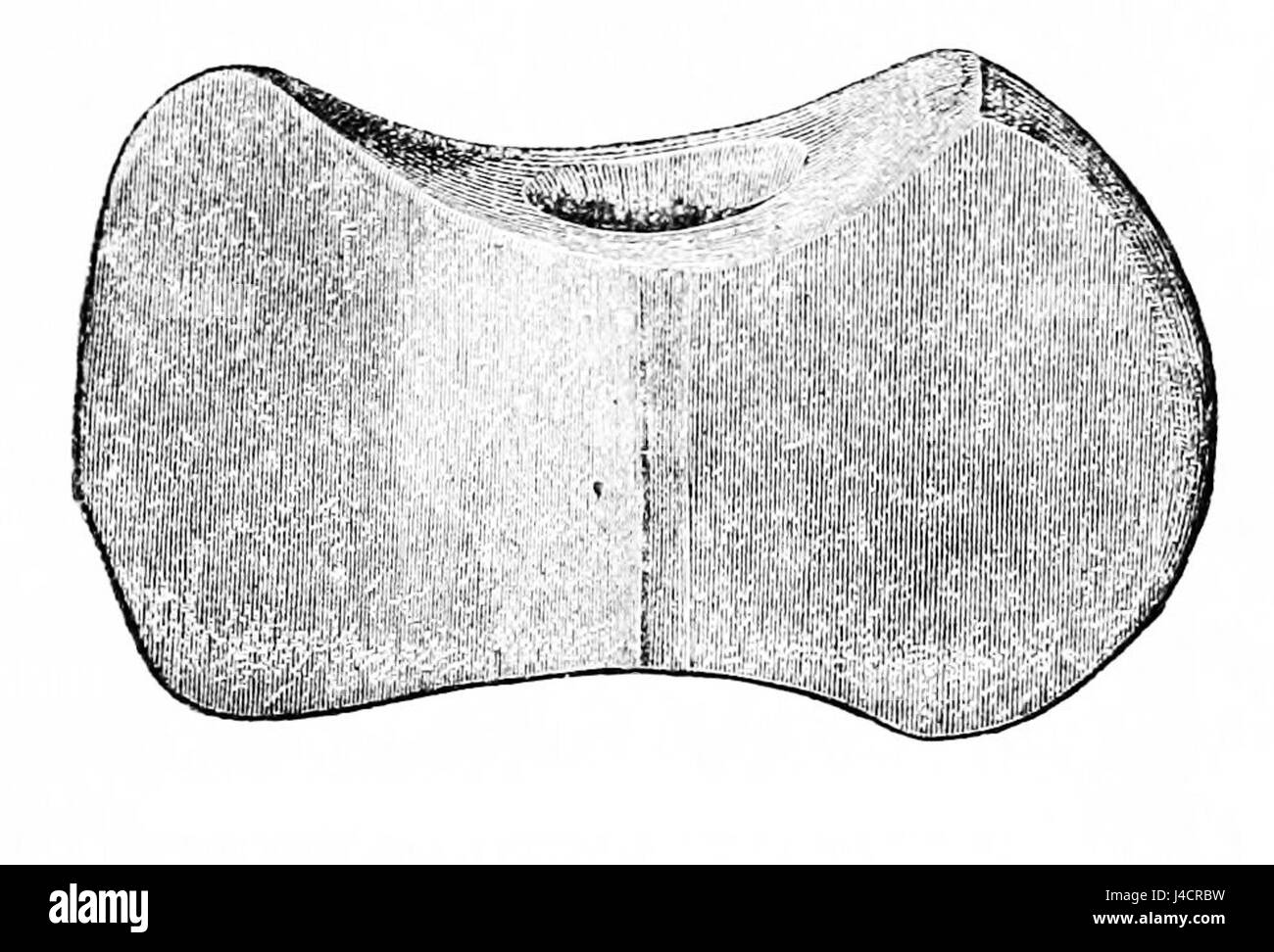 Axe evolution Cut Out Stock Images & Pictures - Alamy