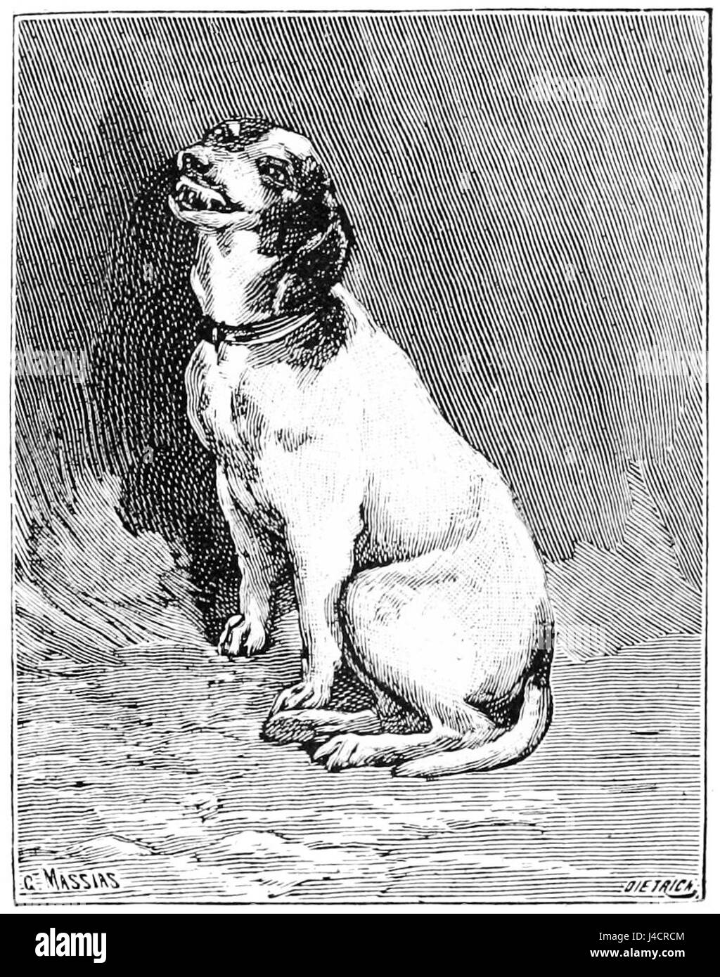 Laughing funny Black and White Stock Photos & Images - Alamy