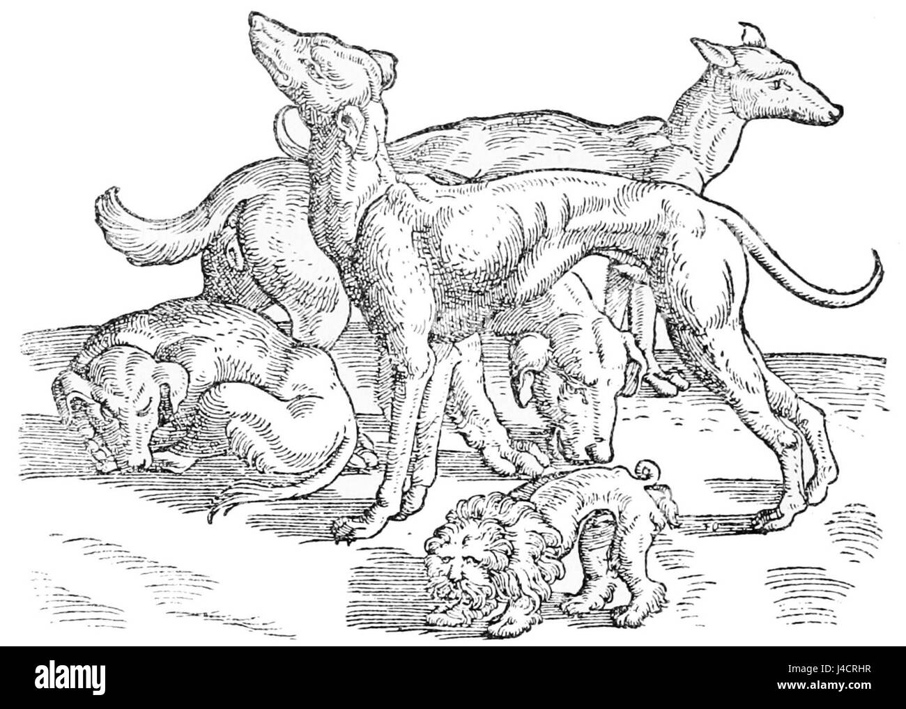 This image from the PSM V47 D058 (Popular Science Monthly) features an ...