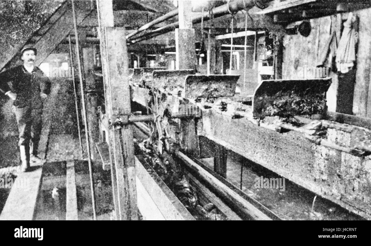 Steaming fish Black and White Stock Photos & Images - Alamy