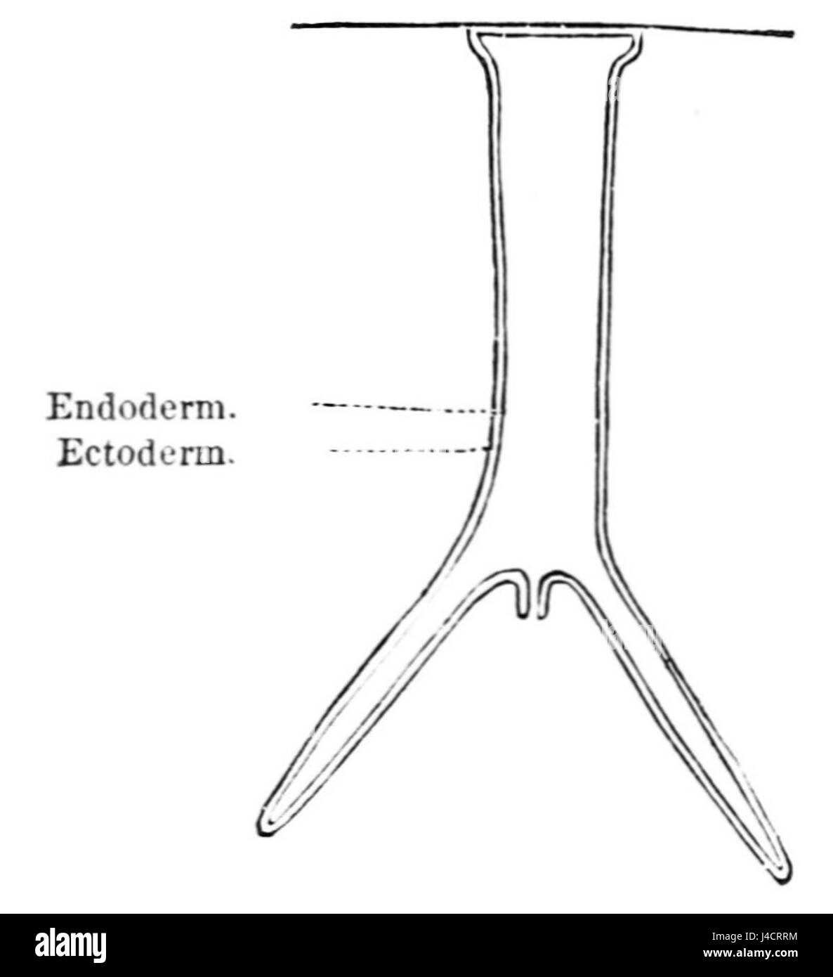 Sea tales Cut Out Stock Images & Pictures - Alamy