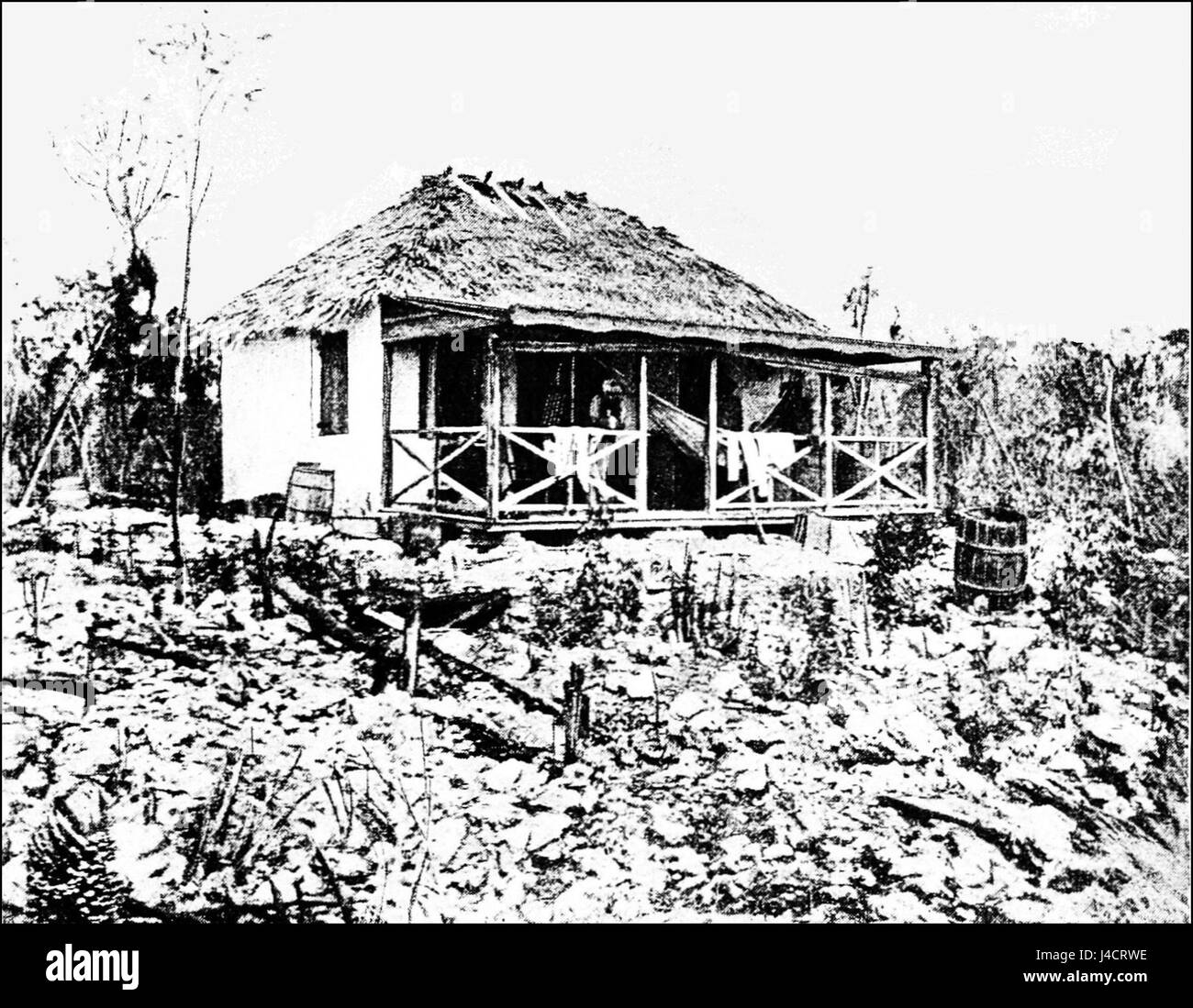 Sisal farm Black and White Stock Photos & Images - Alamy