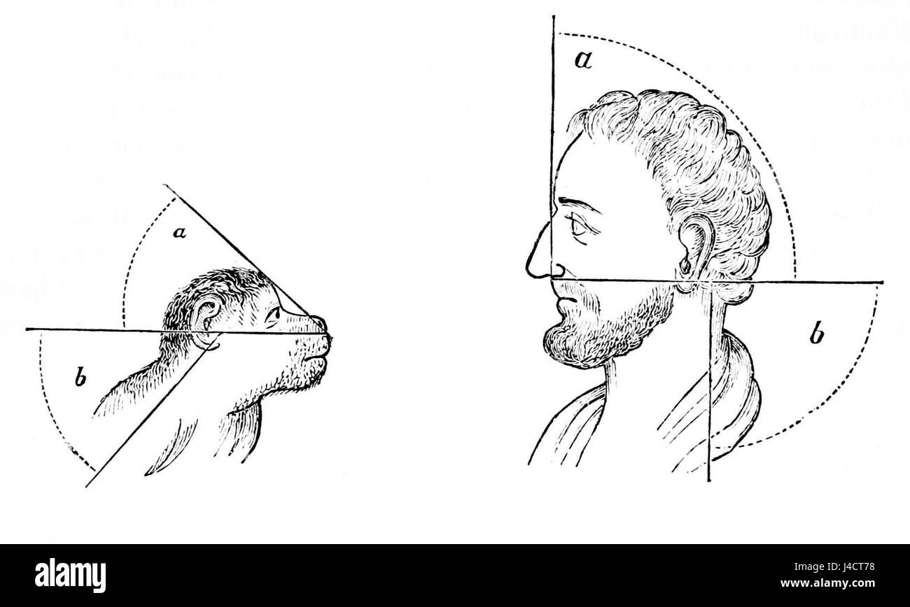 Facial angles hi-res stock photography and images - Alamy