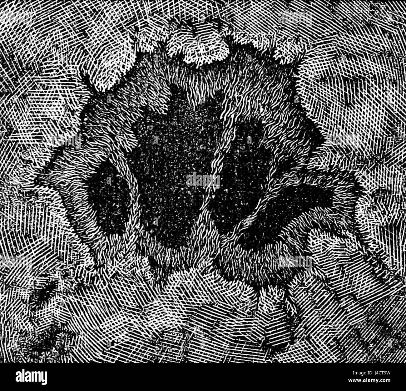 Solar phenomena research Black and White Stock Photos & Images - Alamy