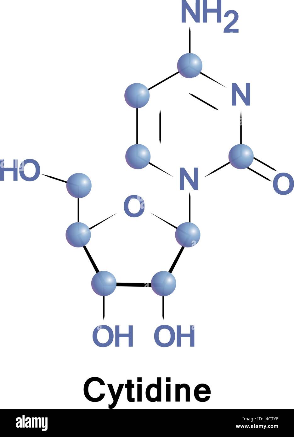Cytidine hi-res stock photography and images - Alamy