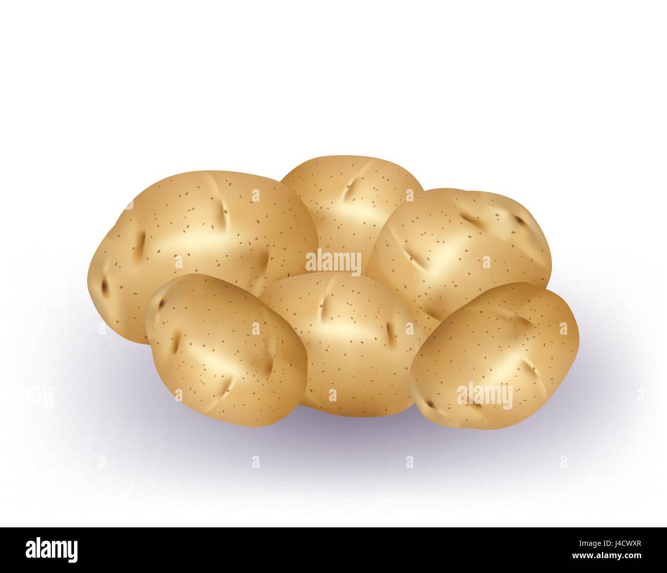Potato slices isolated on Stock Vector Images - Alamy