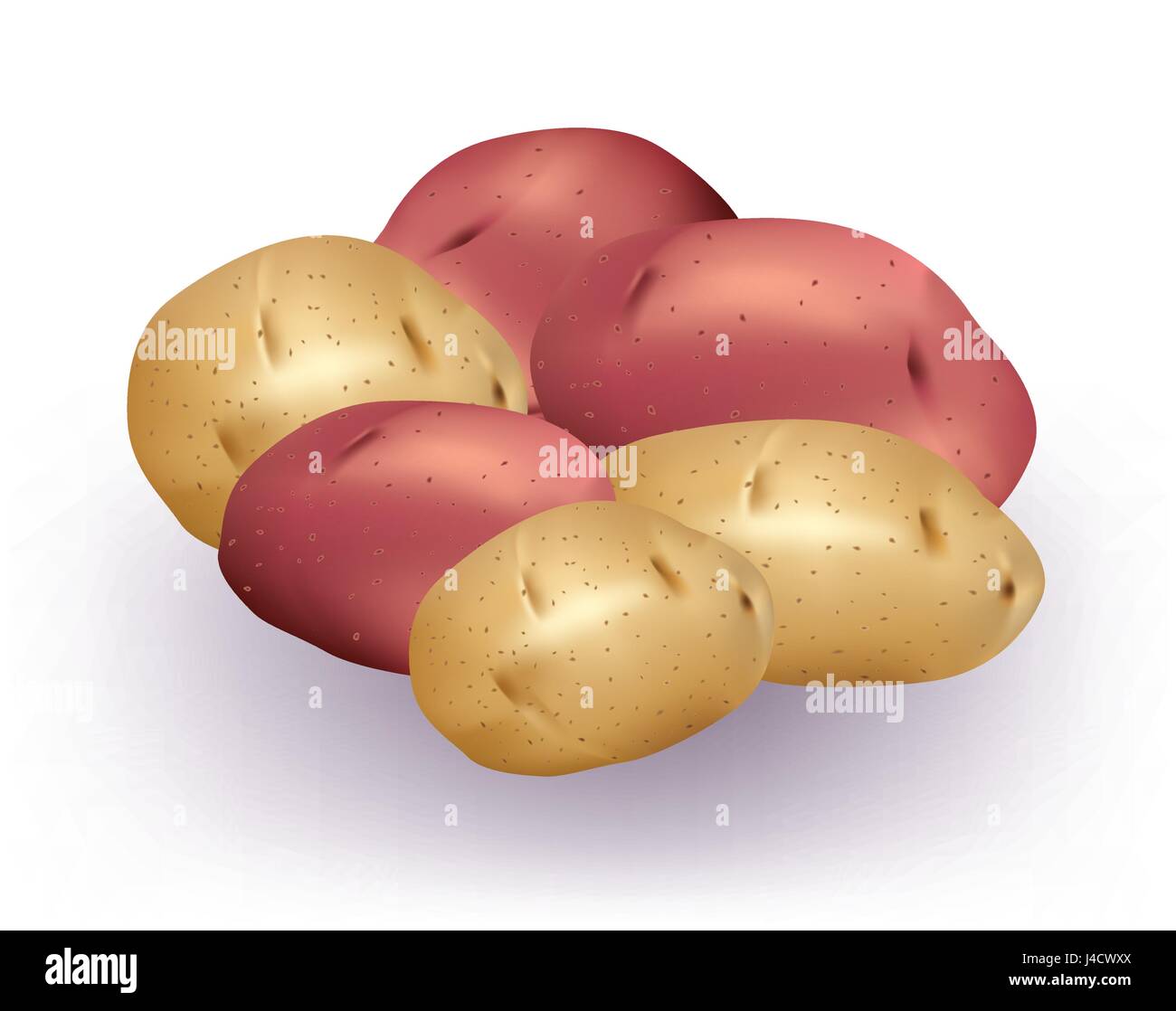 Wallpaper potato Cut Out Stock Images & Pictures - Alamy
