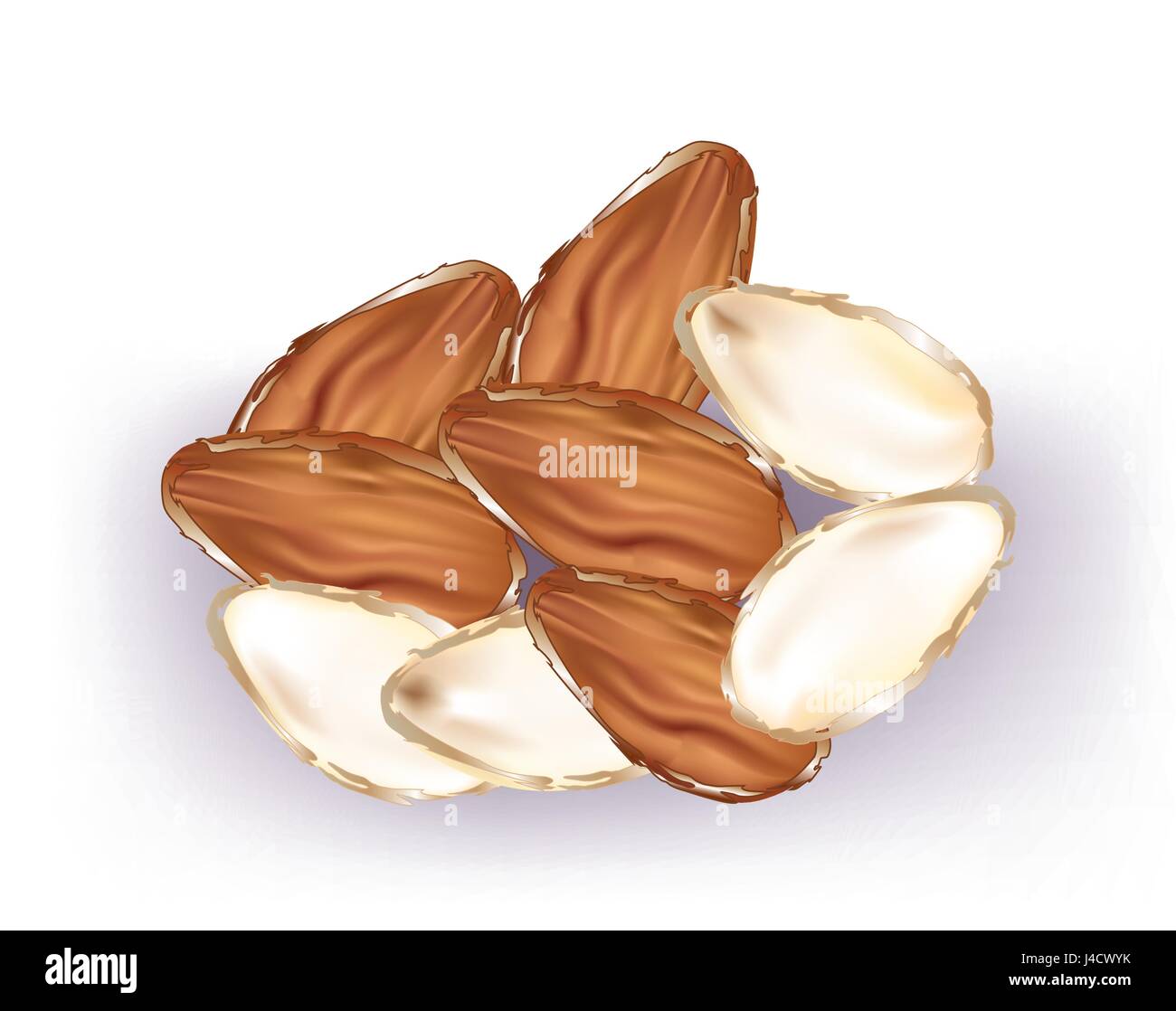 Nuts and seeds on white background Stock Vector Images - Alamy