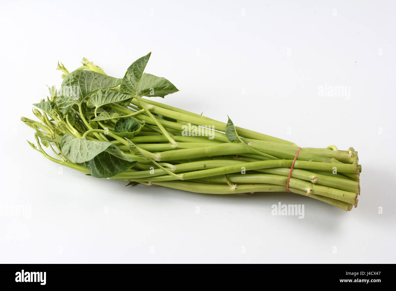Vegetable ,Chinese morning glory call Pak bong in Thai is isolated on ...