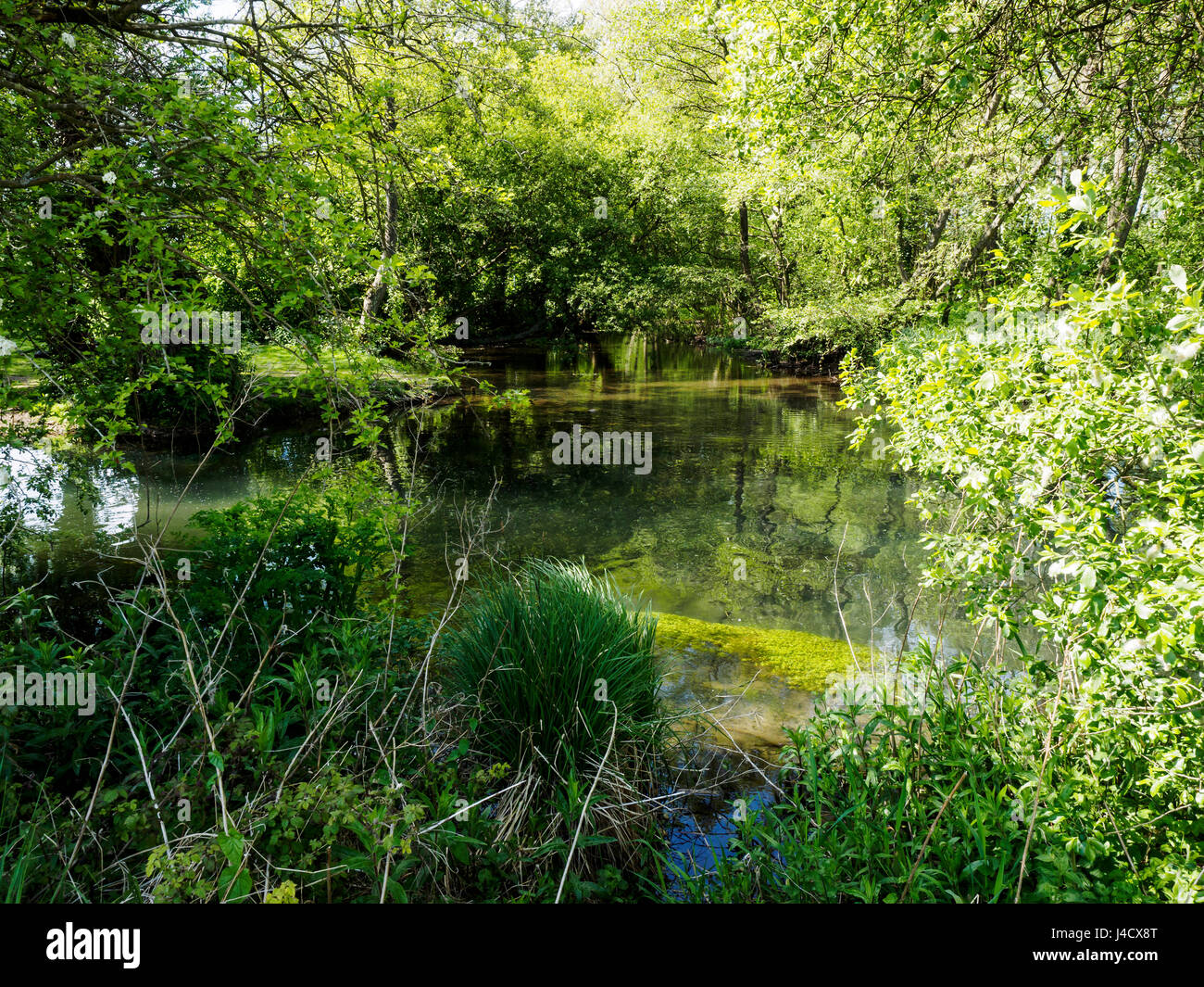 Winnall moors wildlife reserve hi-res stock photography and images - Alamy