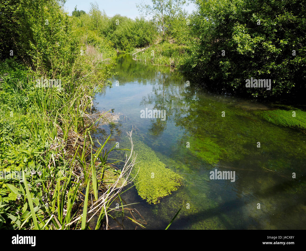Winnall moors hi-res stock photography and images - Alamy
