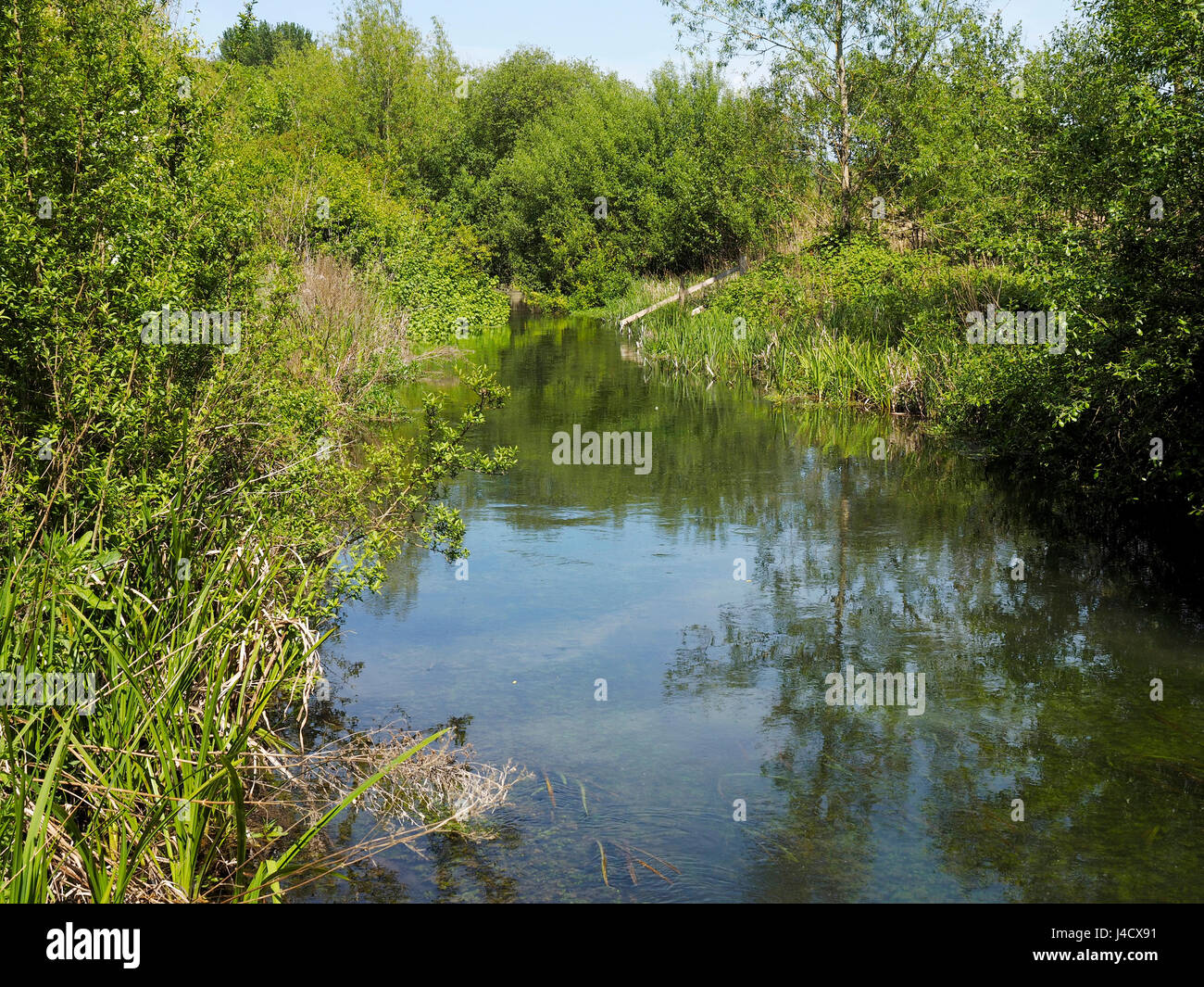 Winnall moors wildlife reserve itchen hi-res stock photography and ...