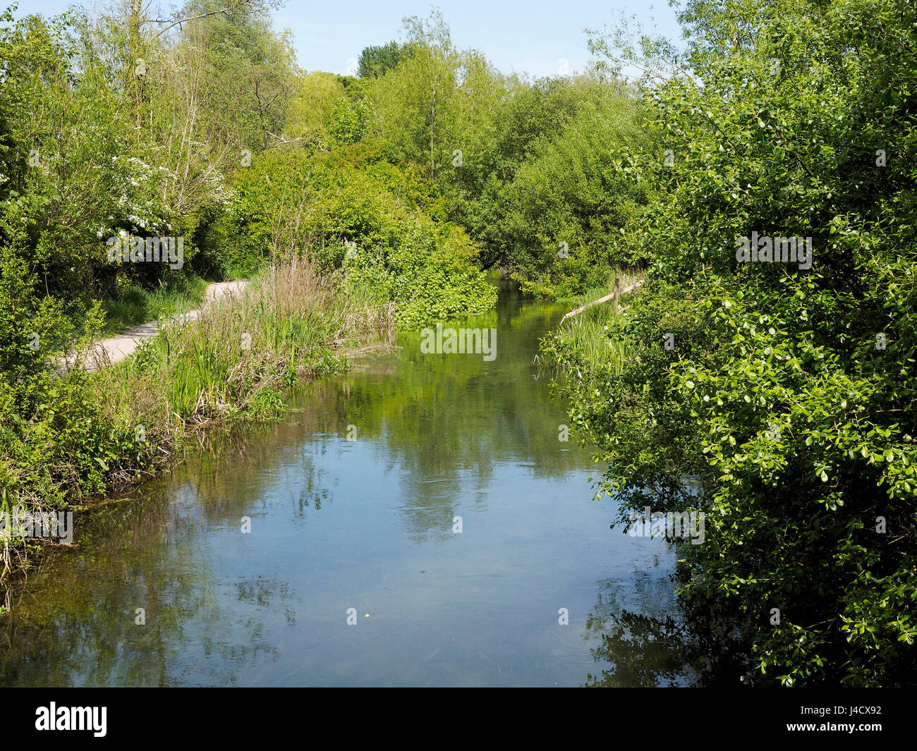 Winnall moors wildlife reserve hi-res stock photography and images - Alamy