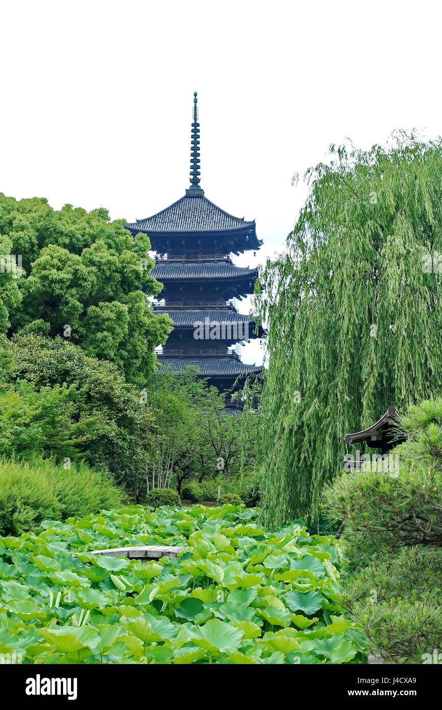 Five storied pagoda of Toji Temple, the tallest pagoda in Japan,with ...