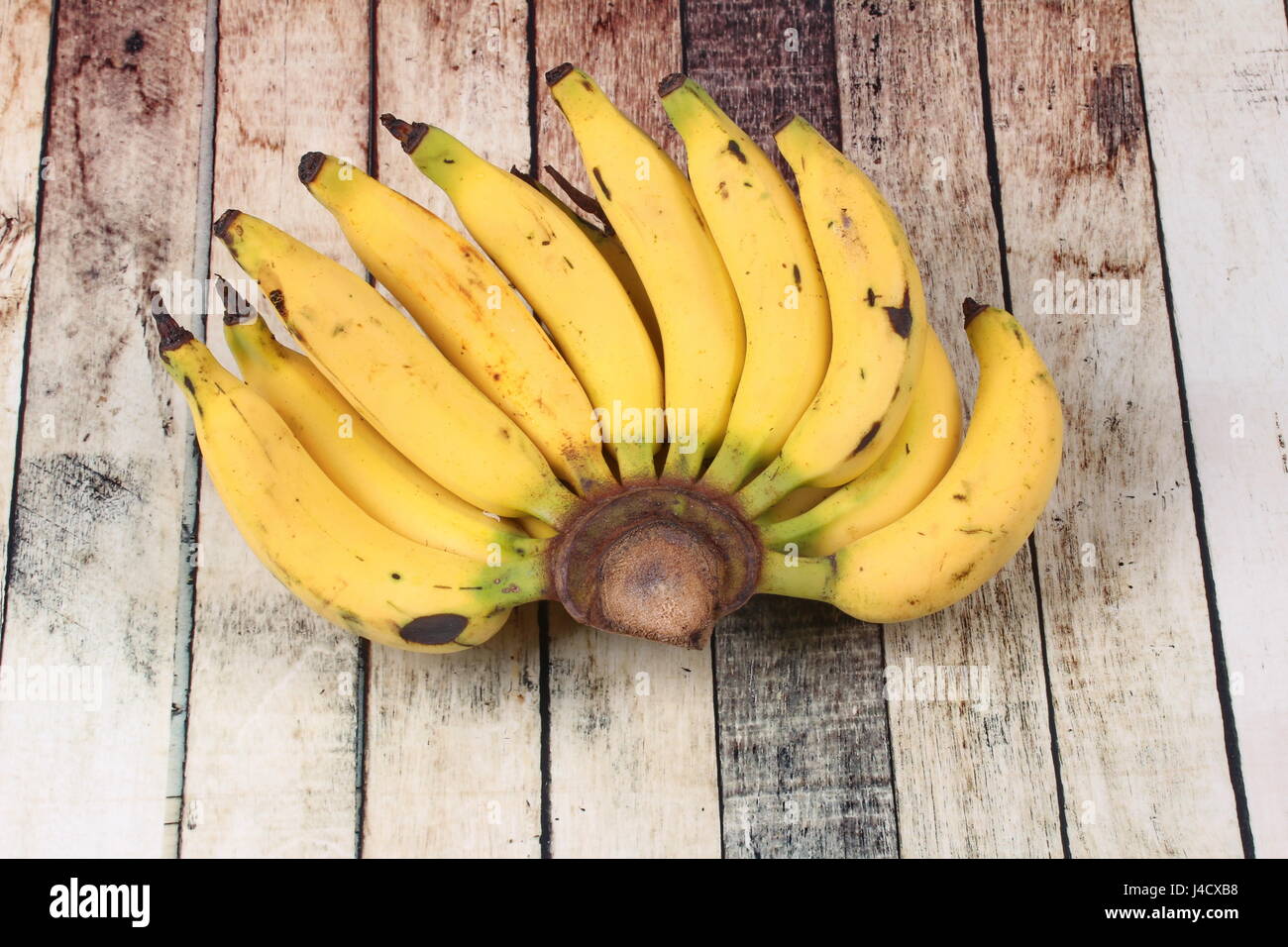 Lady finger banana,Slim yellow bunch of bananas,call Kluai Leb Mu Nang ...