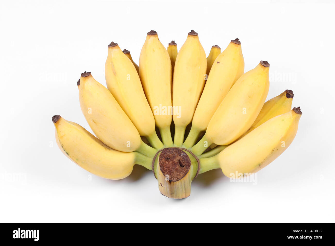 Yellow cultivated banana, Ripe cultivated banana call Kluai Nam Wa in ...