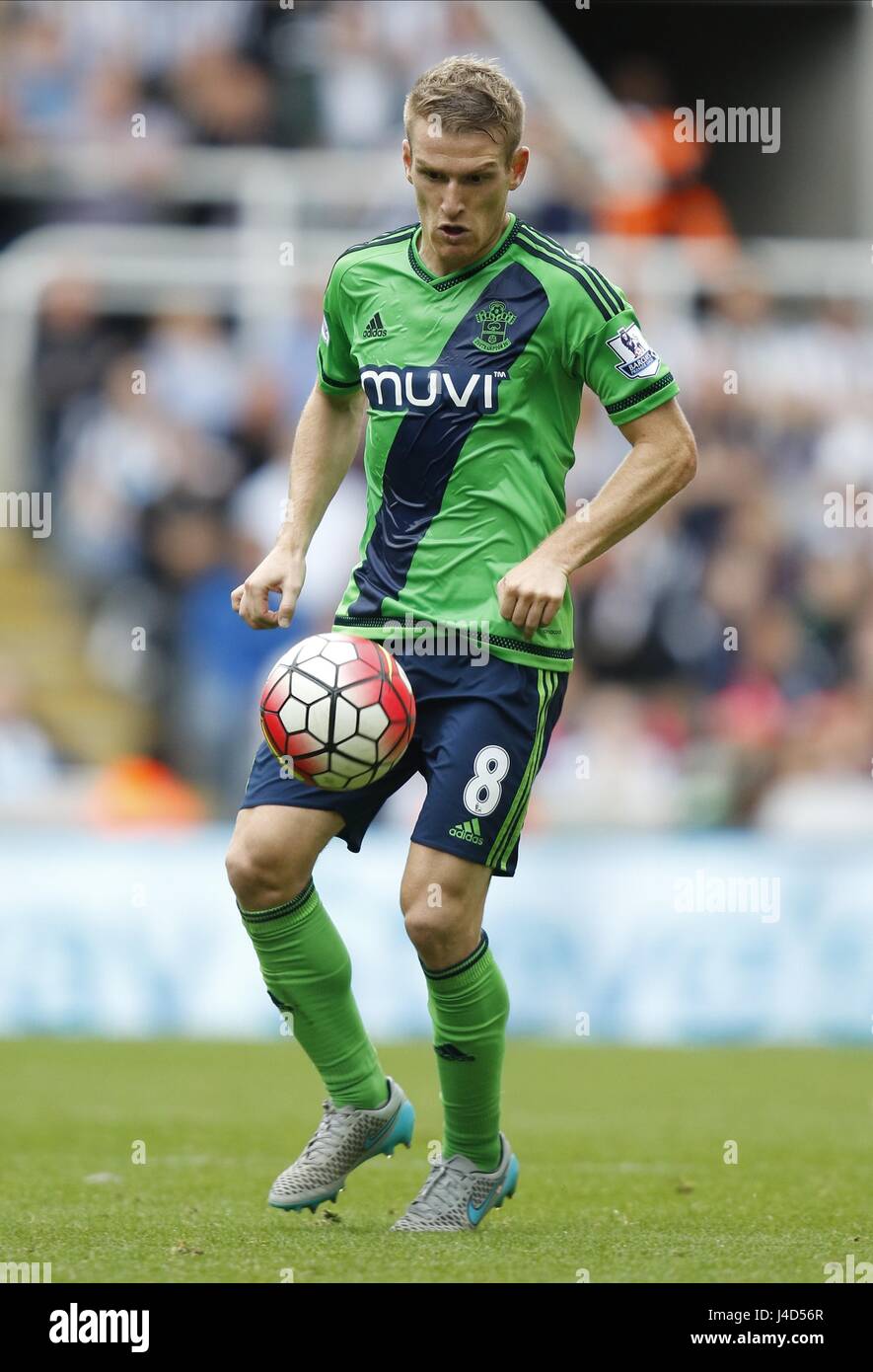 STEVEN DAVIS SOUTHAMPTON FC SOUTHAMPTON FC ST JAMES PARK NEWCASTLE ...