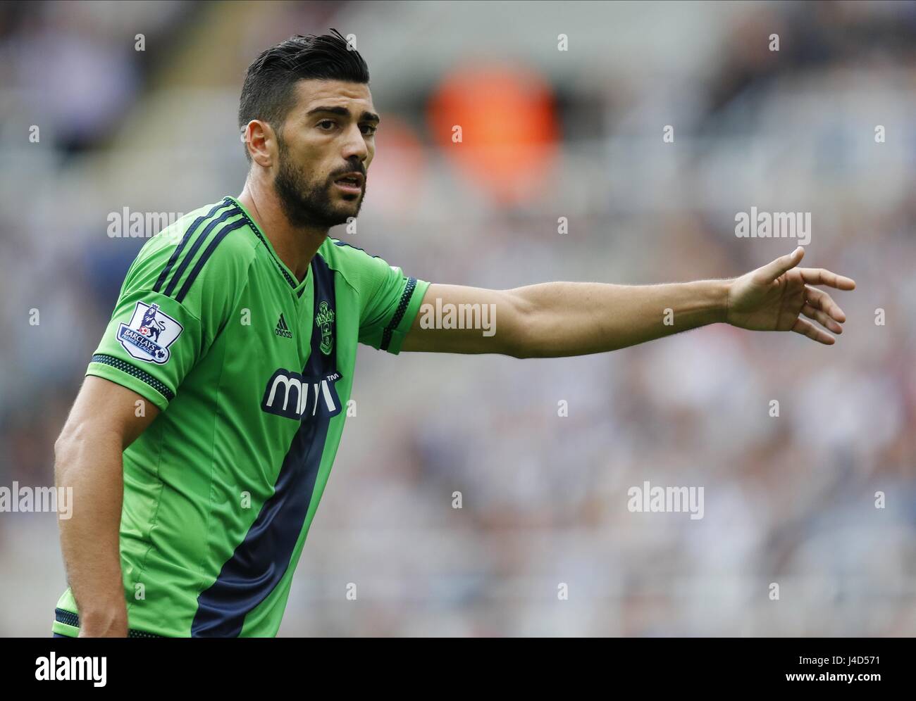 GRAZIANO PELLE SOUTHAMPTON FC SOUTHAMPTON FC ST JAMES PARK NEWCASTLE ...