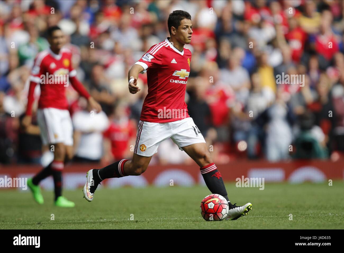 JAVIER HERNANDEZ MANCHESTER UNITED FC MANCHESTER UNITED FC OLD TRAFFORD ...