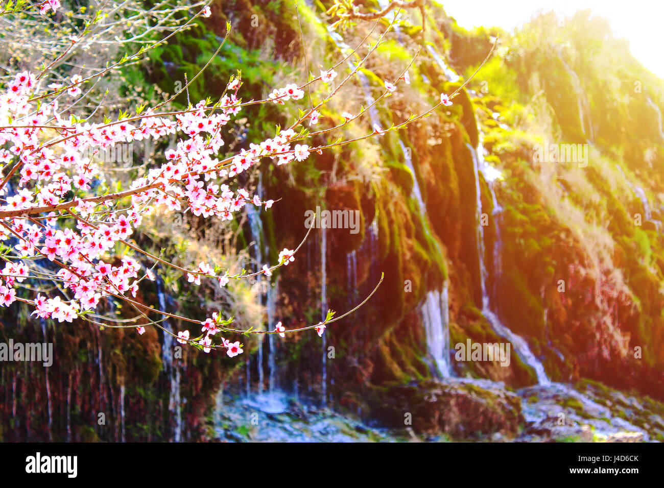 Spring on Waterfall Stock Photo - Alamy
