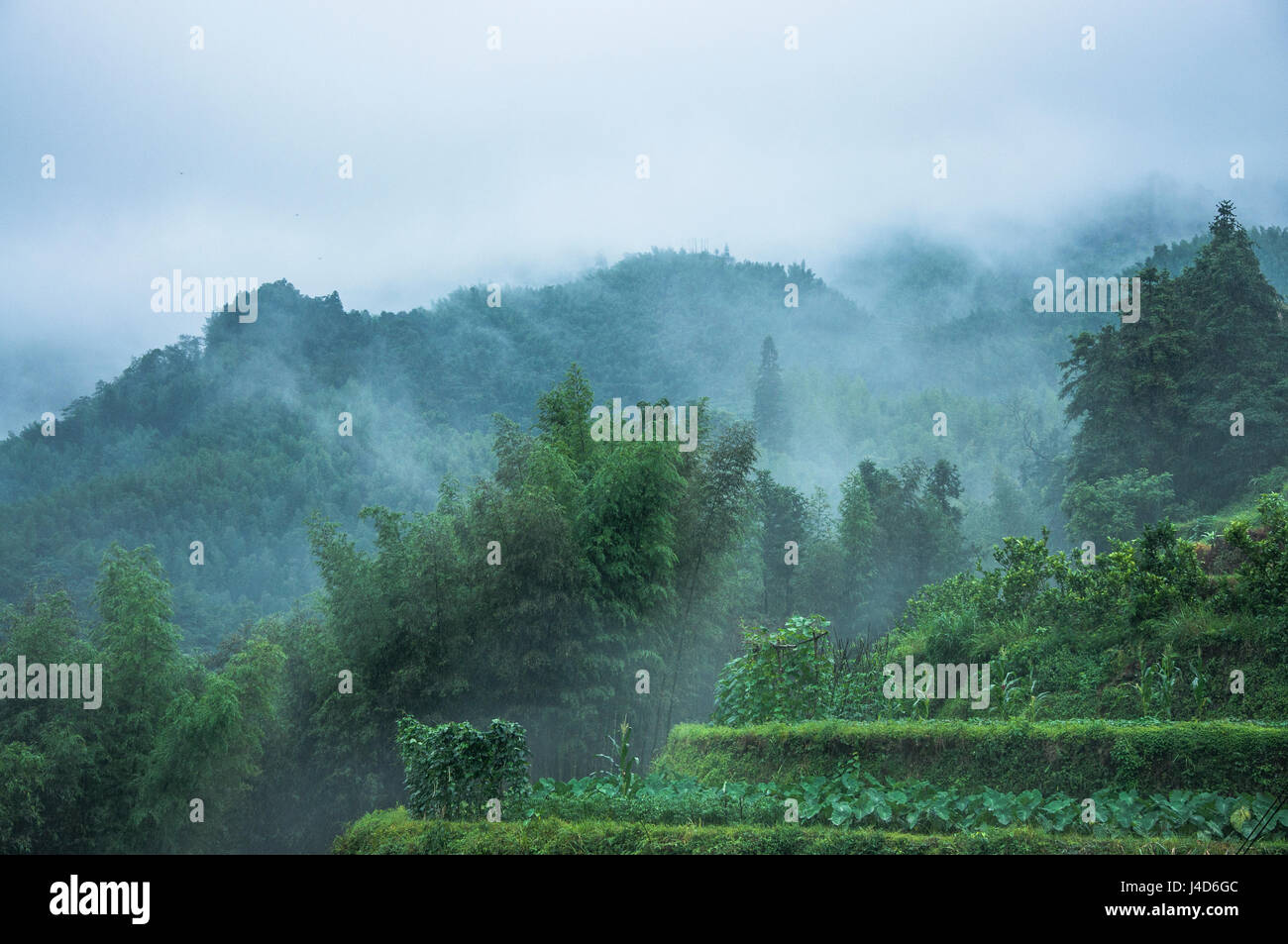 Beautiful mountains scenery in the mist Stock Photo - Alamy
