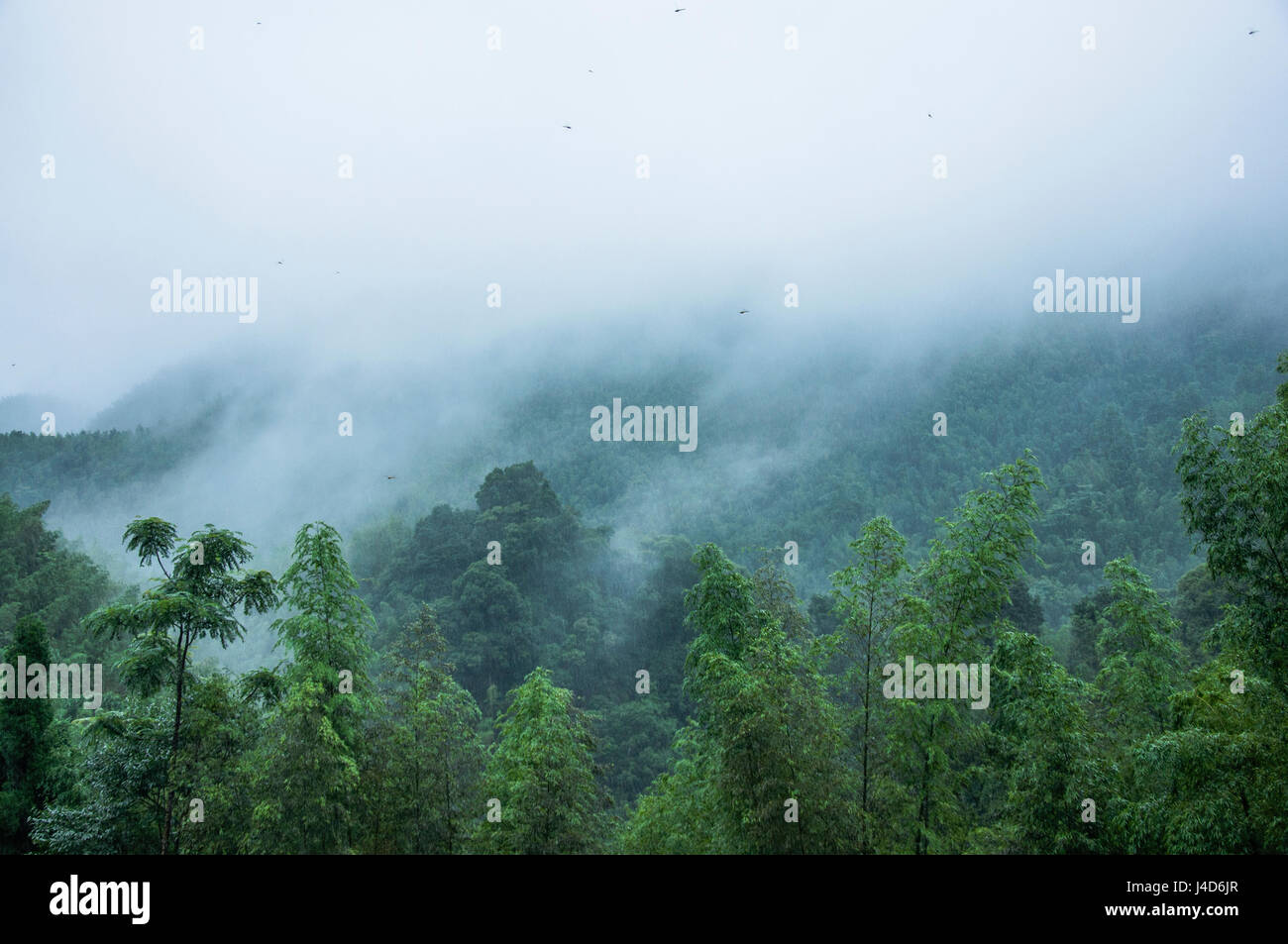 Mist and beautiful scenery hi-res stock photography and images - Alamy