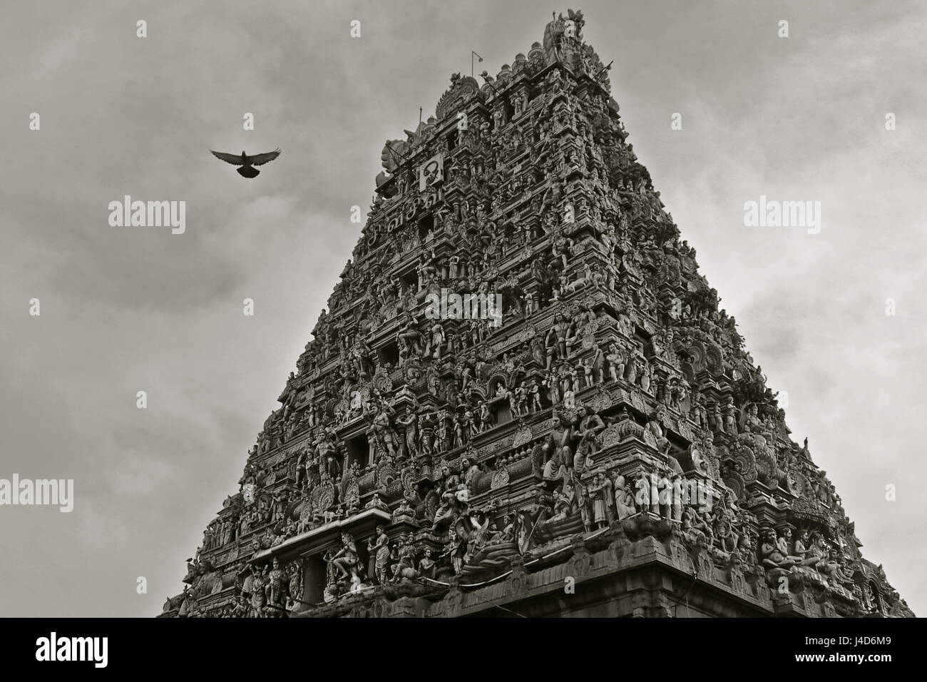 Kapaleeshwarar temple hi-res stock photography and images - Alamy