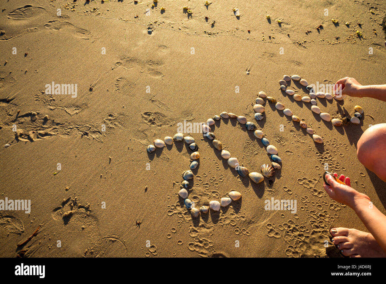 2018 New Year text made using shells on beach Stock Photo - Alamy