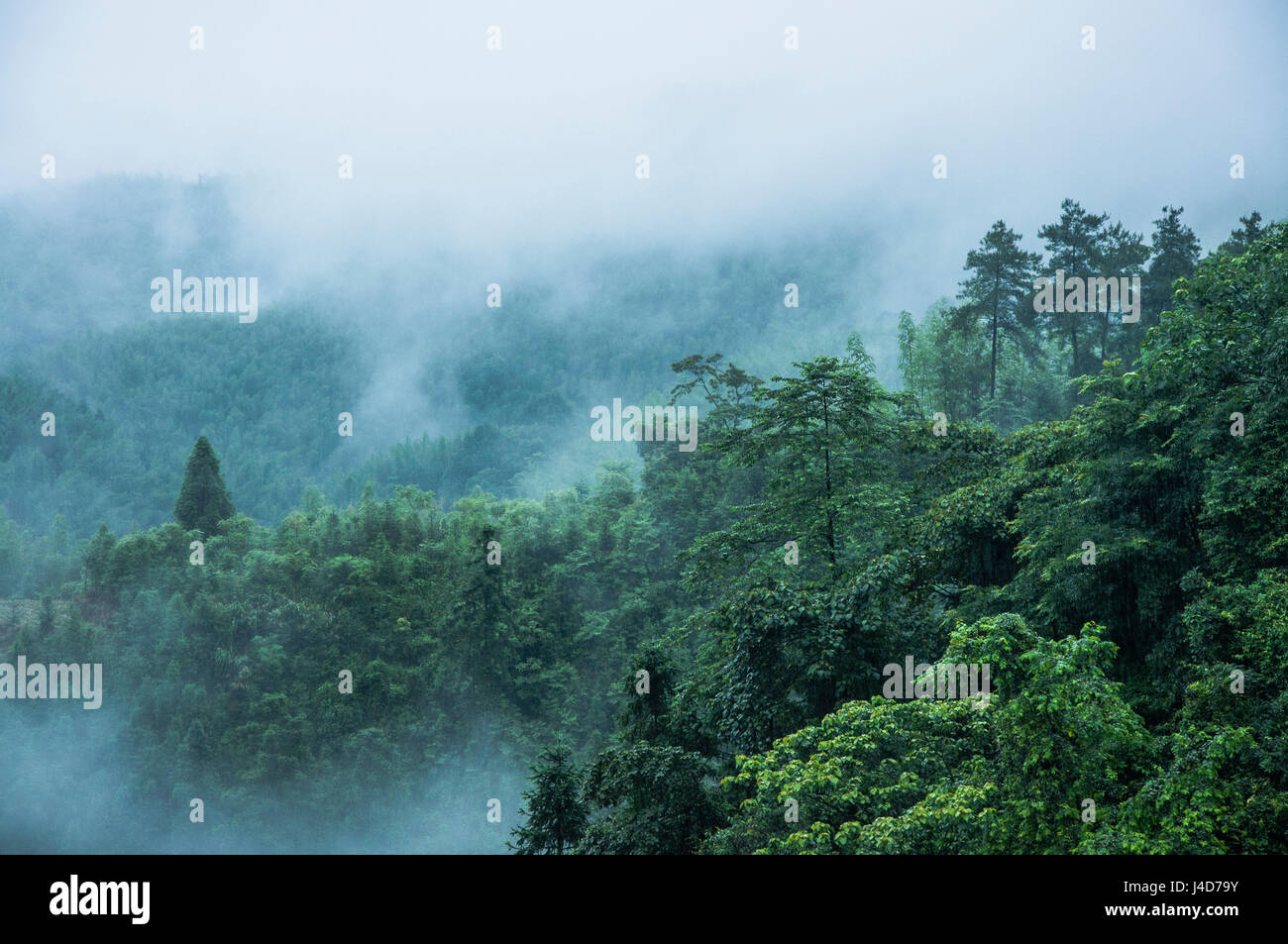 Beautiful mountains scenery in the mist Stock Photo - Alamy
