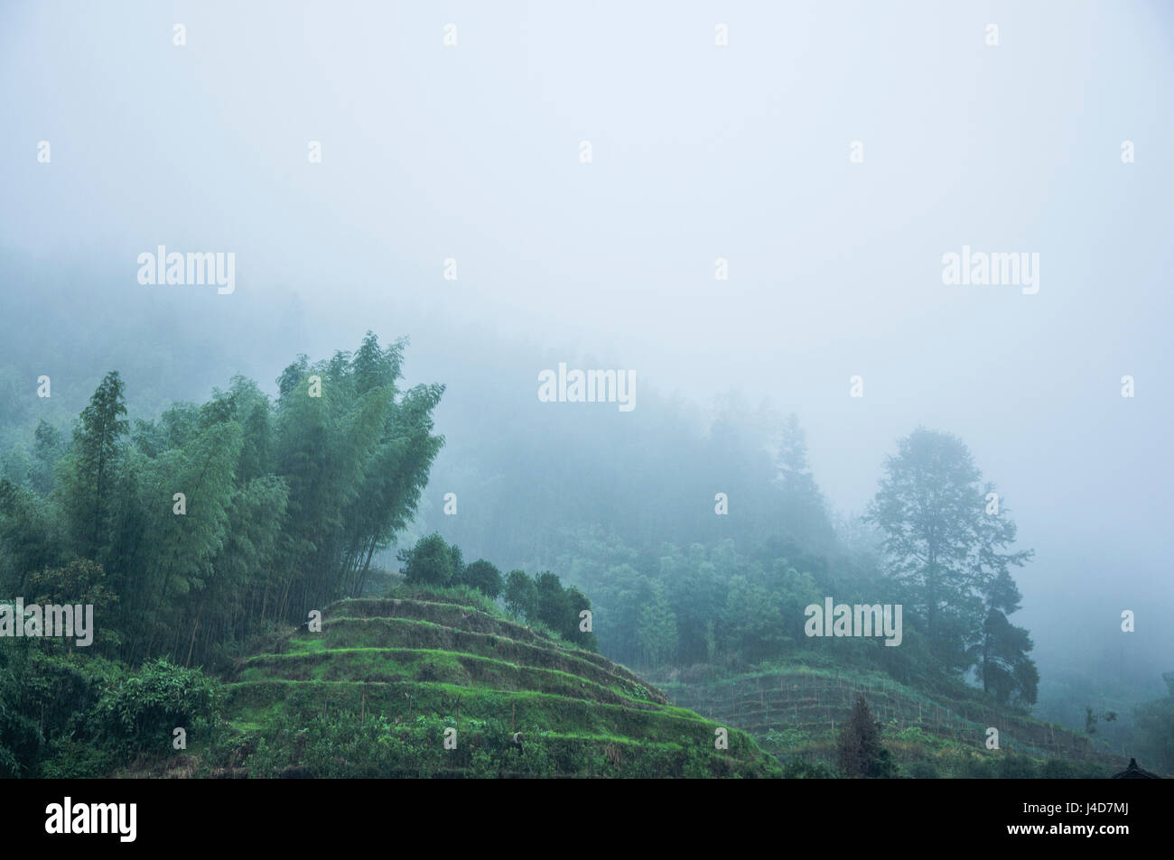 Beautiful mountains scenery in the mist Stock Photo - Alamy