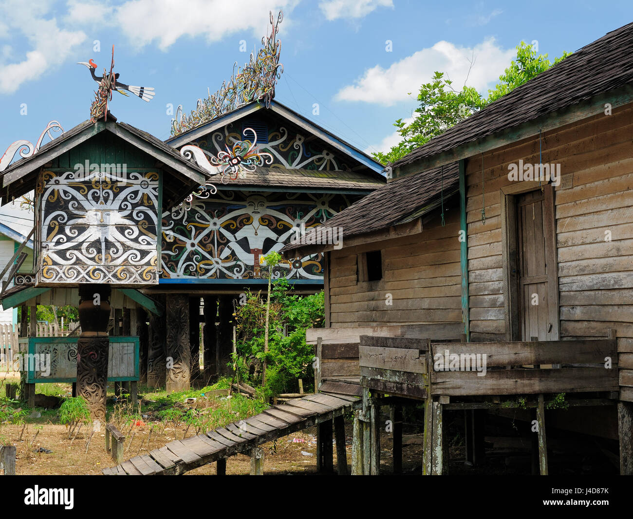 The culture and beliefs of the island Borneo. Traditional Dayak tribal ...