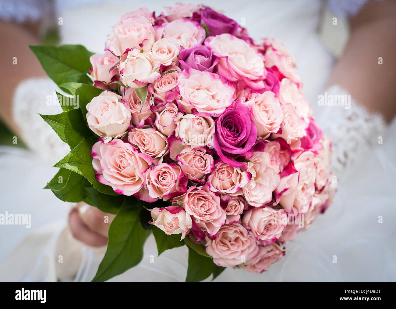 Spray roses hi-res stock photography and images - Alamy