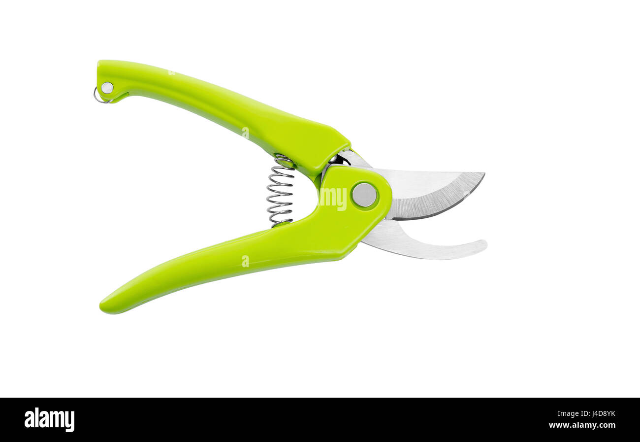Garden pruner for pruning. Isolated on white background Stock Photo - Alamy