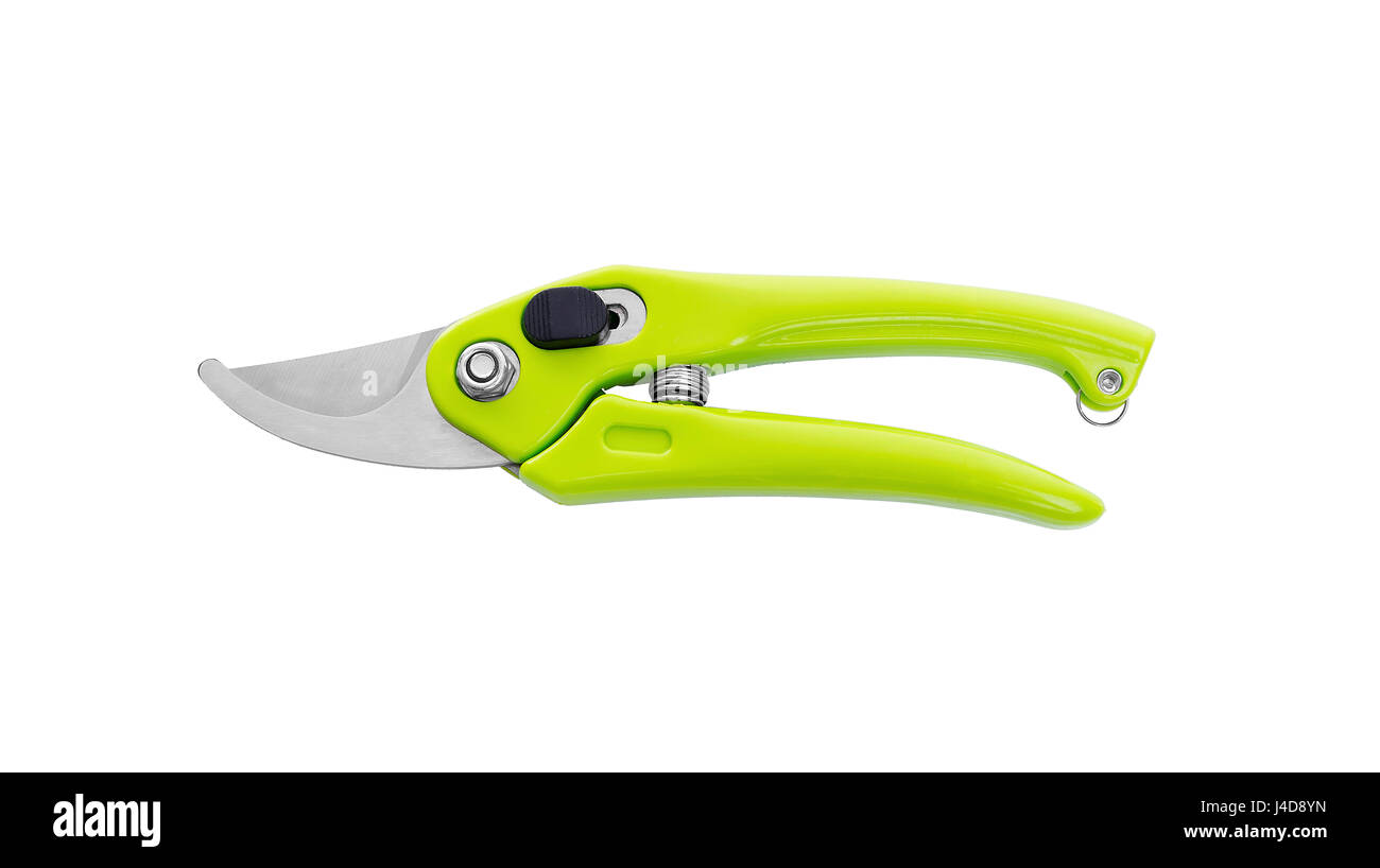 Garden pruner for pruning. Isolated on white background Stock Photo - Alamy
