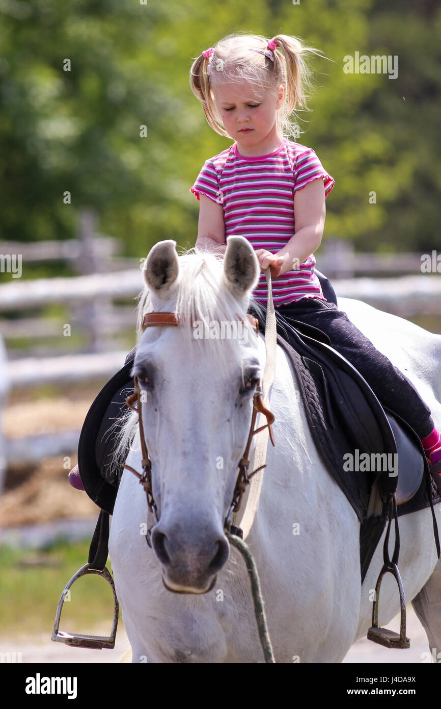 Little girl riding a white horse Stock Photo - Alamy