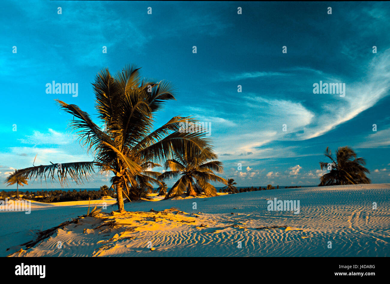 Brazil, tropic and exotic landscape of Mangue Seco in Bahia, Brazil ...