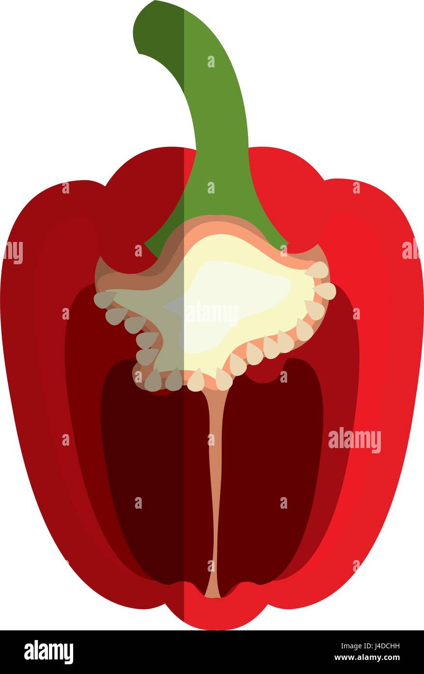 Half pepper Stock Vector Images - Alamy