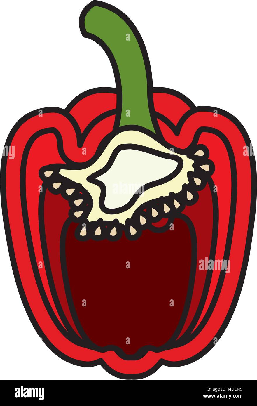 Half pepper Stock Vector Images - Alamy