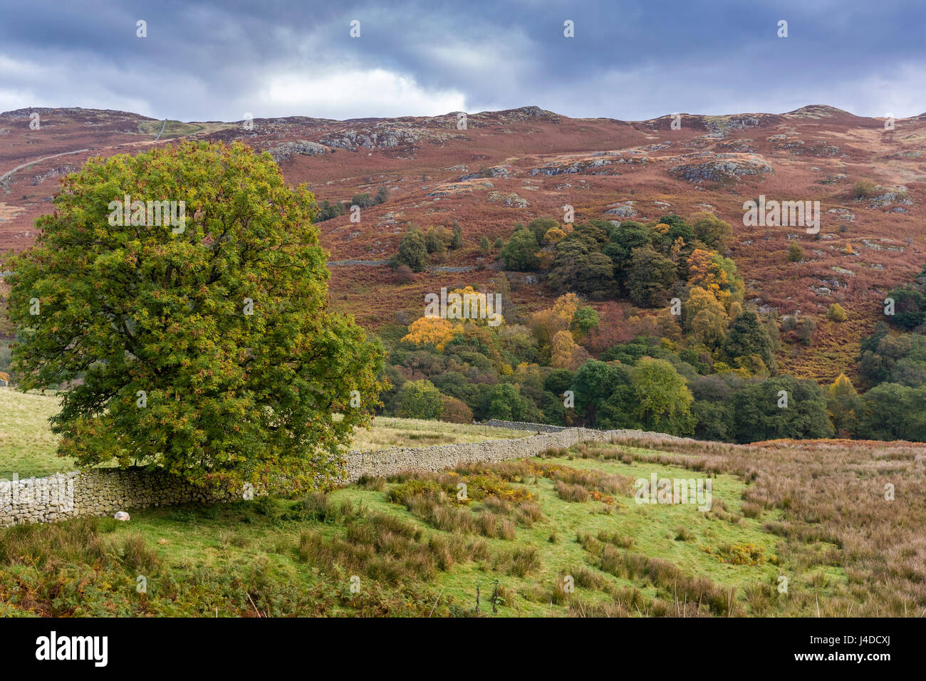 Cumbrian landscape near Dockray, Lake District National Park, Cumbria ...