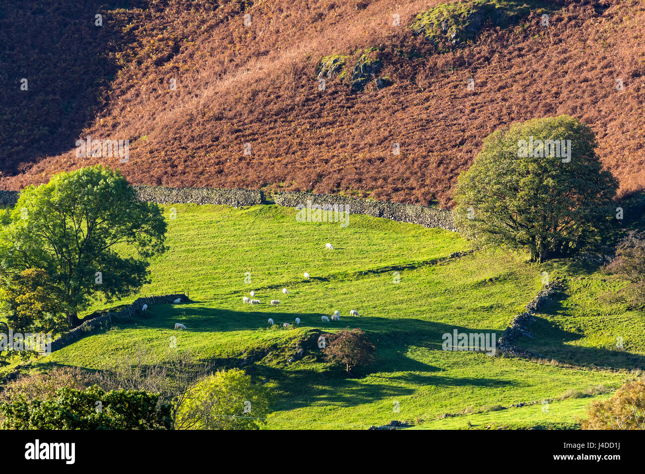 Cumbrian landscape near Threlkeld, Lake District National Park, Cumbria ...