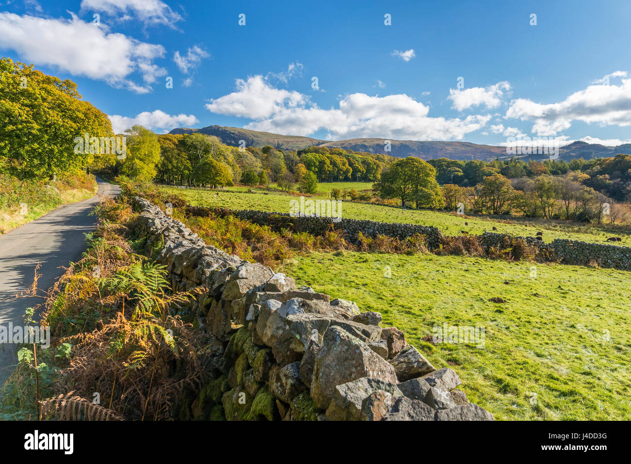 Cumbrian landscape near Nether Wasdale, Lake District National Park ...