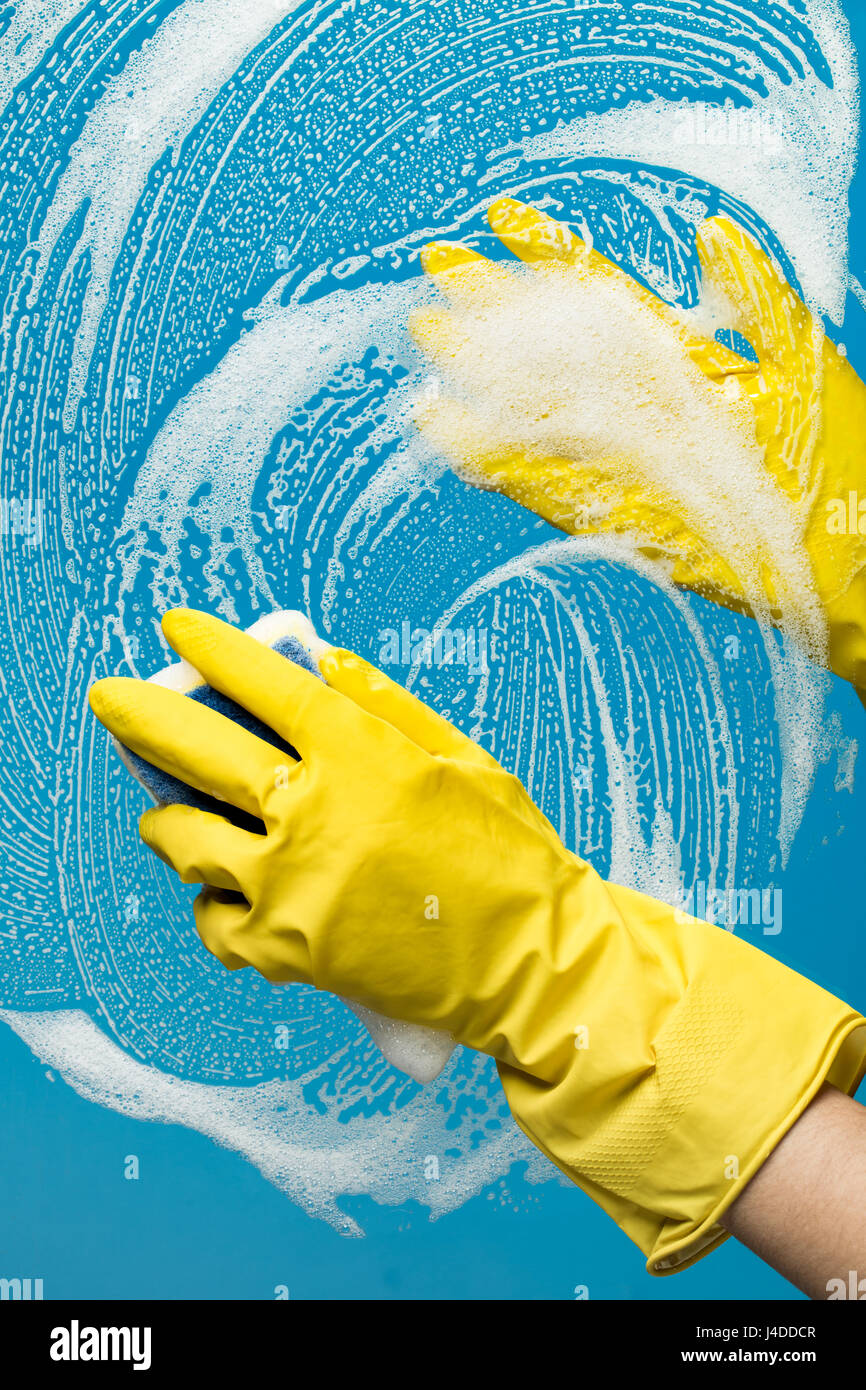 Glass sponge hi-res stock photography and images - Alamy