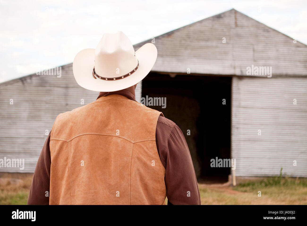Rear view of an African American cowboy Stock Photo - Alamy