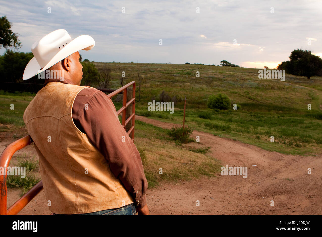 Rear view of an African American cowboy Stock Photo - Alamy