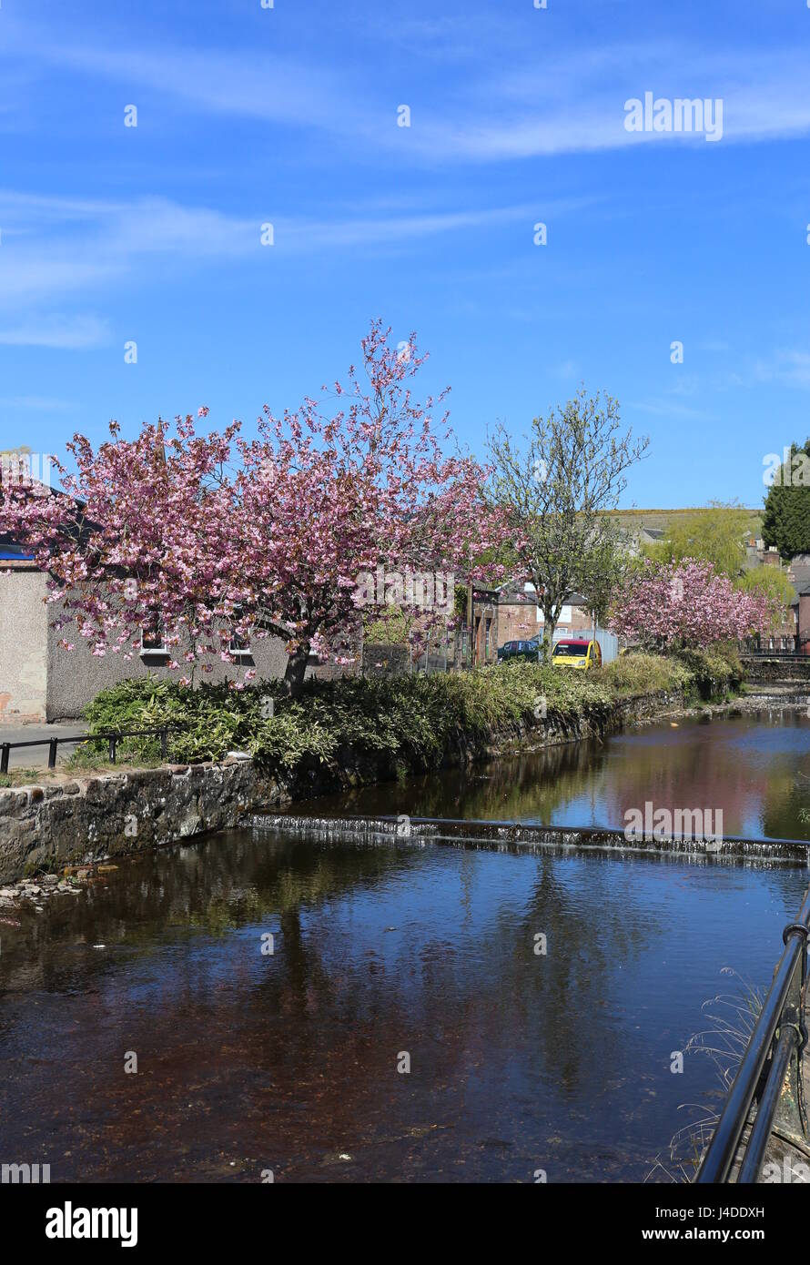 Alyth burn hi-res stock photography and images - Alamy
