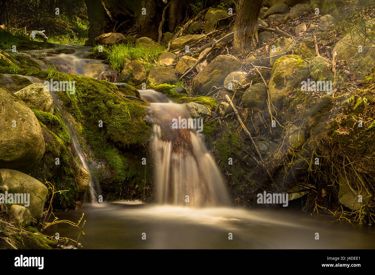 Magical looking rock hi-res stock photography and images - Alamy