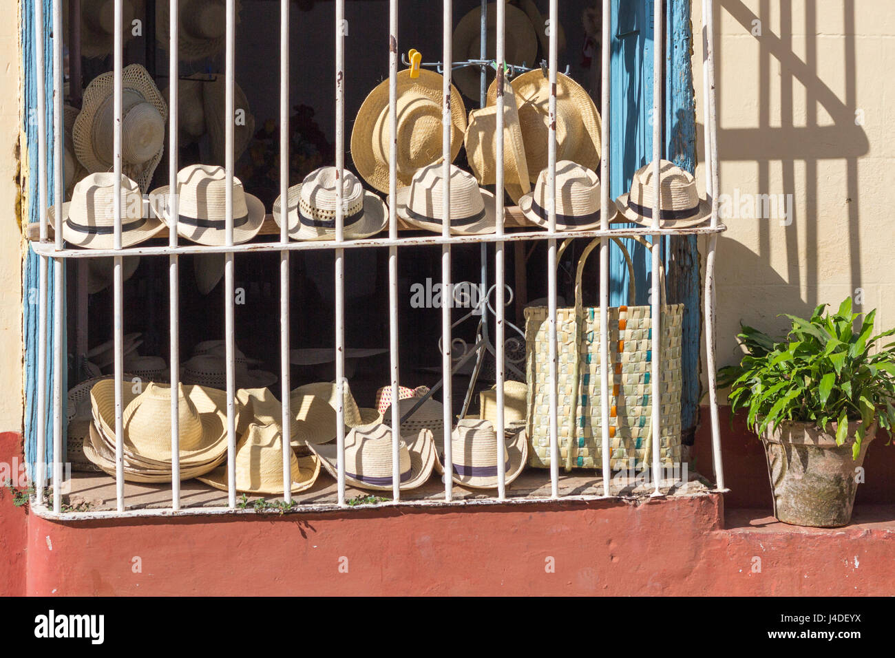 Cuban hats displayed for sale in two rows in a window area in the ...