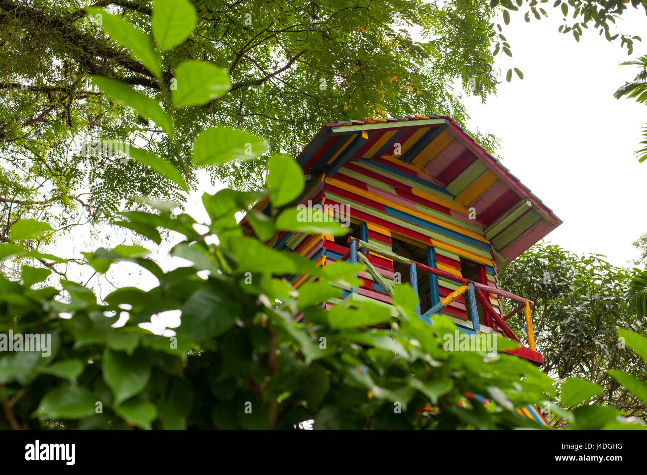 Treehouse in a park Stock Photo - Alamy