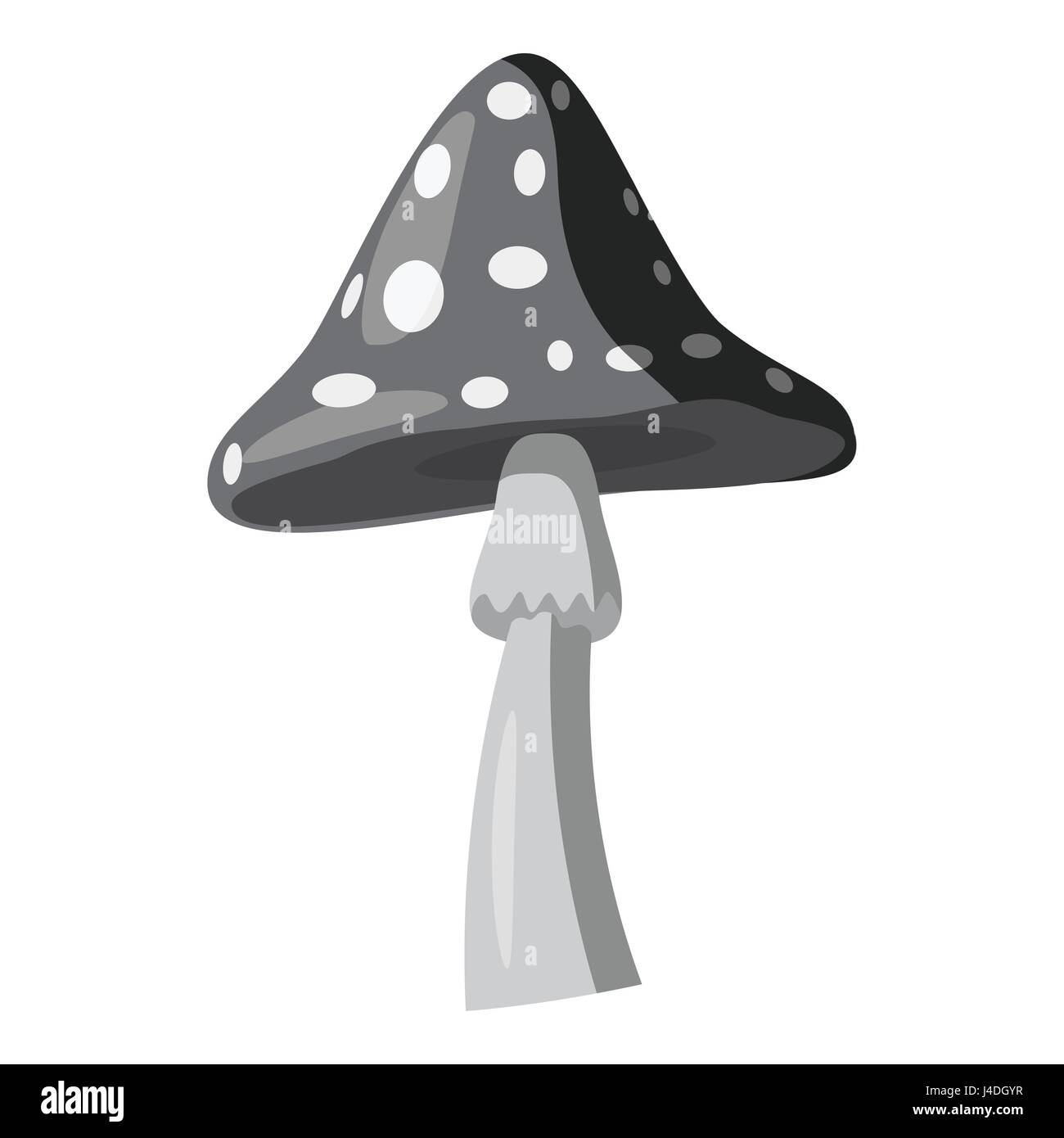 Poisonous deadly fungus amanita Cut Out Stock Images & Pictures - Alamy