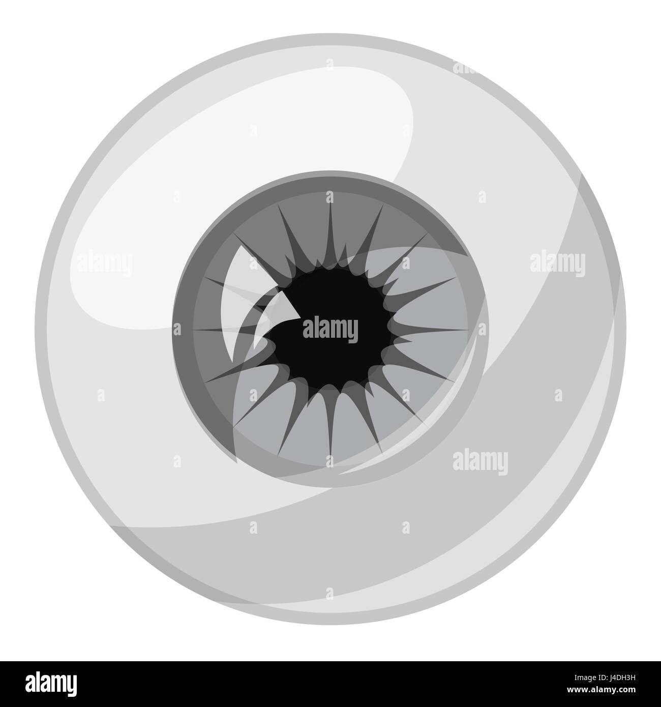 Human eye ball icon, gray monochrome style Stock Vector Image & Art - Alamy Human eye ball icon, gray monochrome style Stock Vector Image & Art - Alamy
